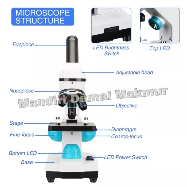 Microscope 100-2000X Magnification Biology Experiment Microscope ...