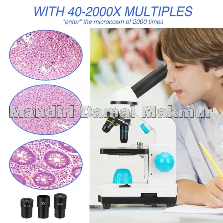 Microscope 100-2000X Magnification Biology Experiment Microscope ...