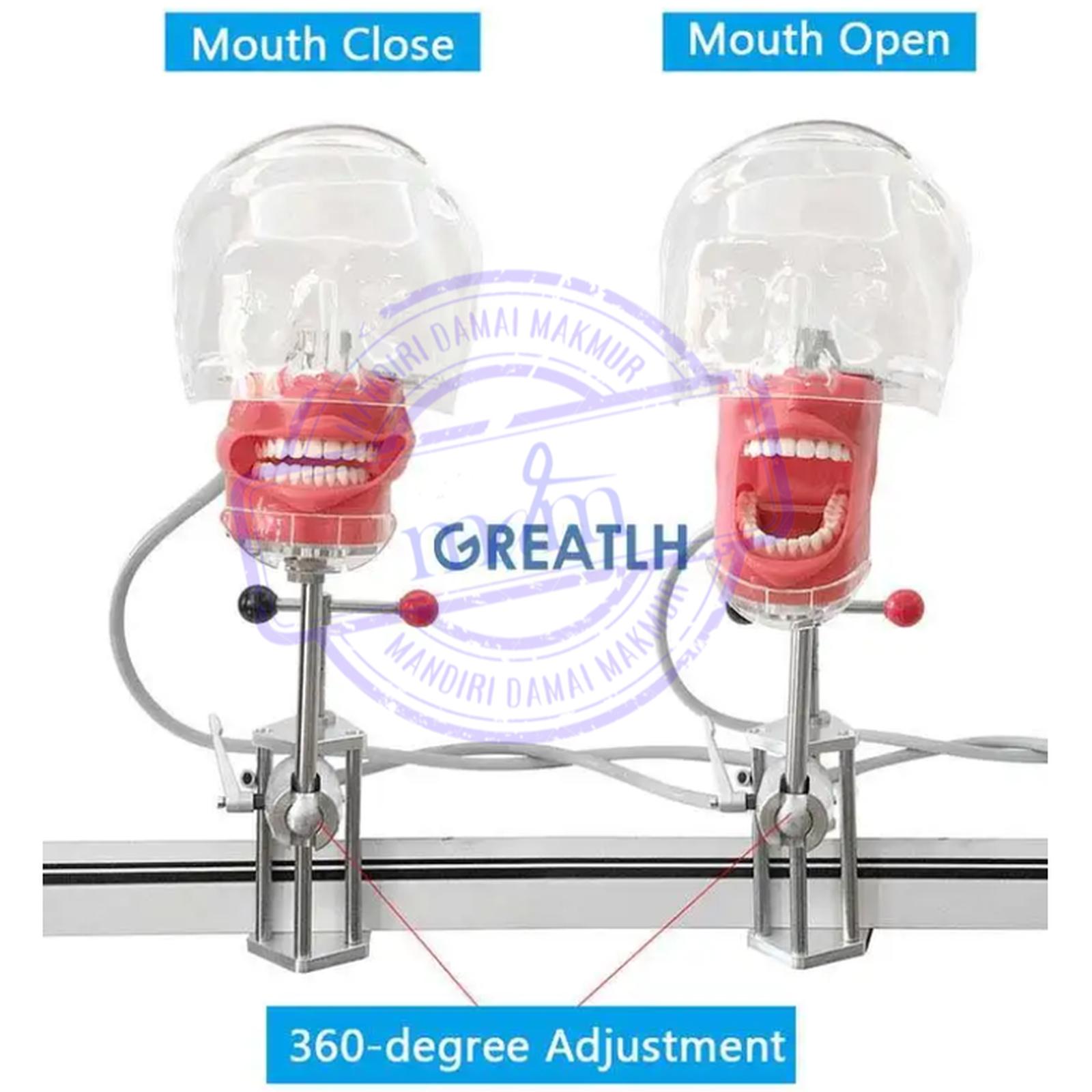 Alat Peraga Simulasi Dental Gigi Simulator Dummy Desk Mounted Berdiri ...